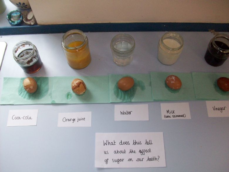 Stanton St Quintin - Eggsperimenting...